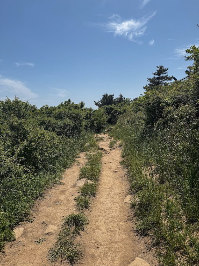 Busan's Jangsan Mountain (Summit + Jungbong Observatory)